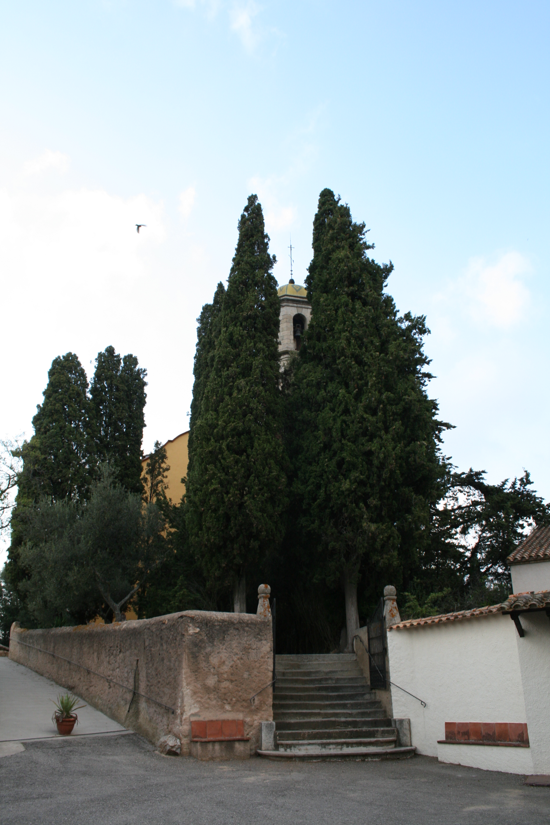 Solius. Un tomb per l’església de Santa Agnès i el Monestir de Santa ...