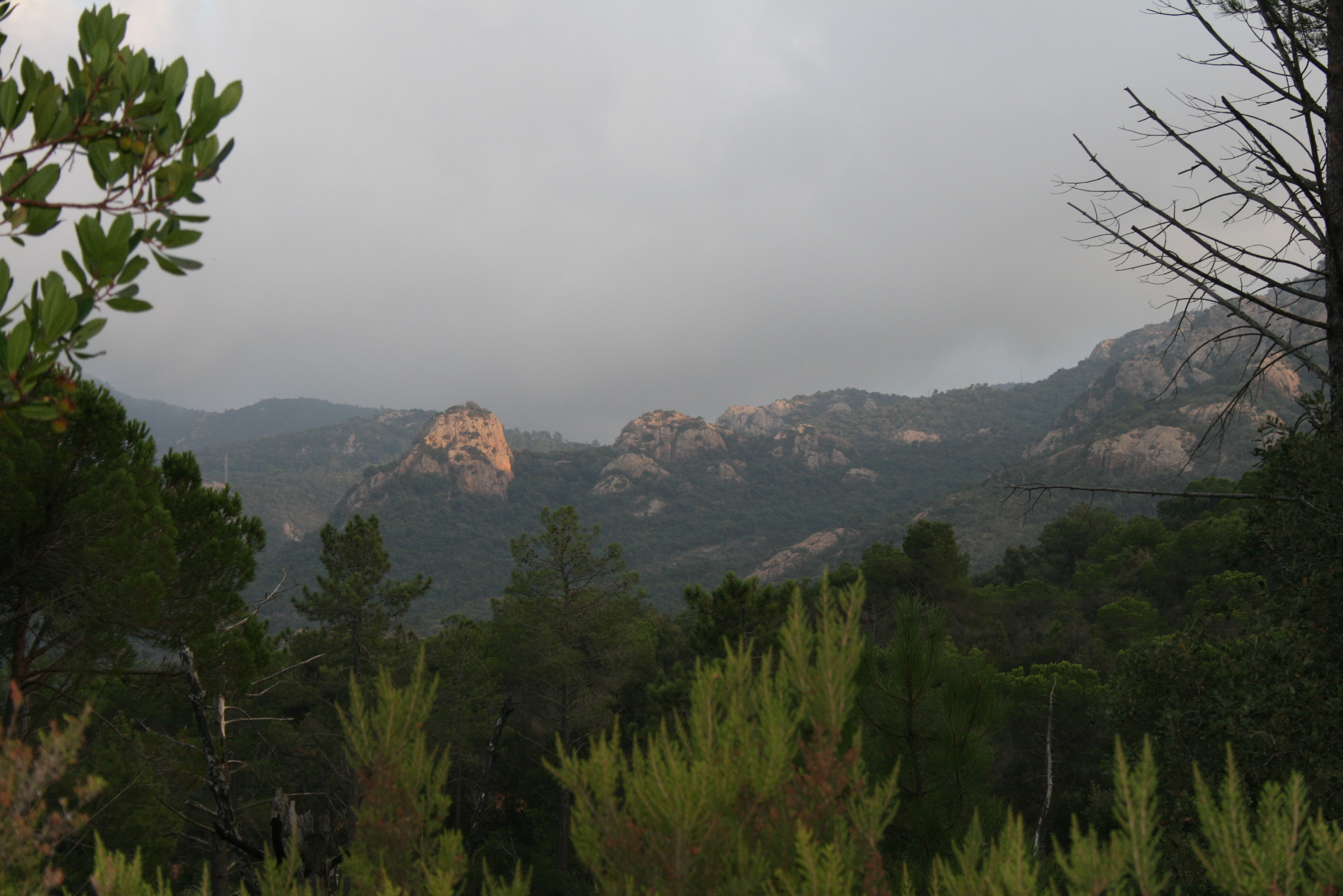 Solius. Un tomb per l’església de Santa Agnès i el Monestir de Santa ...